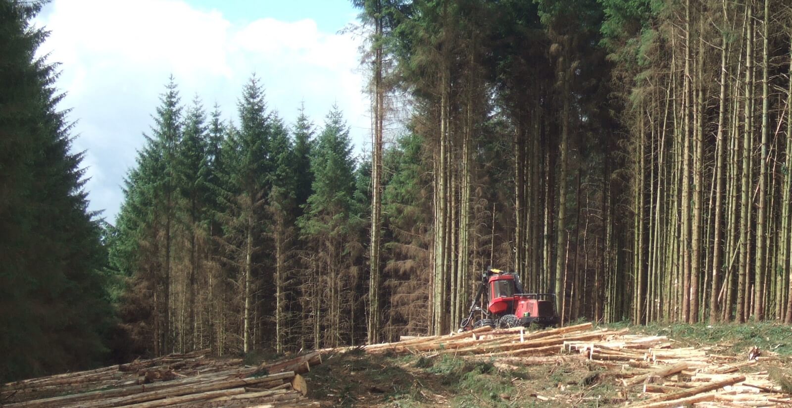 Contact Us - Sustainable Forestry Initiative (SFI) & Forest Implementation