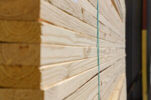 What Is Forestry SFI ATFS (Sustainable Forestry)? - Sustainable ...
